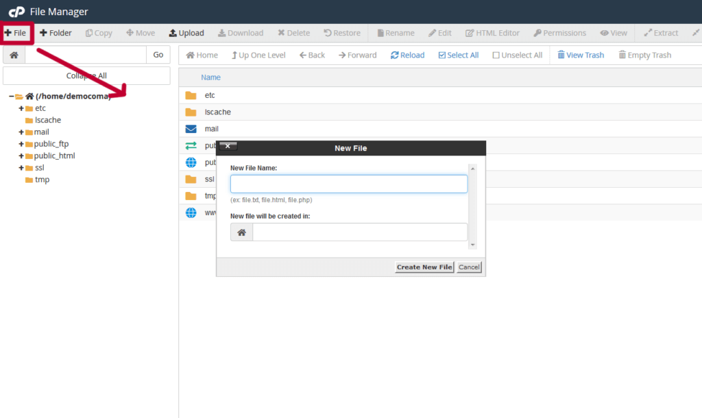 How to Use File Manager in cPanel – Typical Hosting Australia